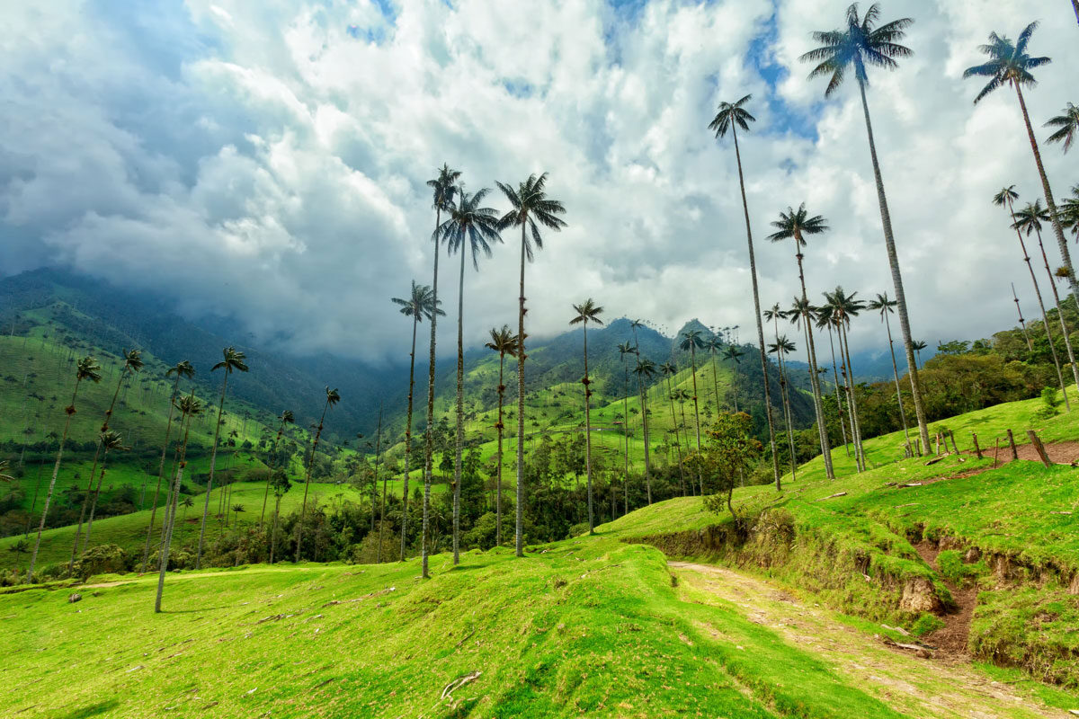 Rutas de Inmersión | Inmersión Colombia